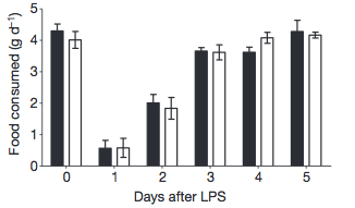 The PO challenge – EvolutionMedicine