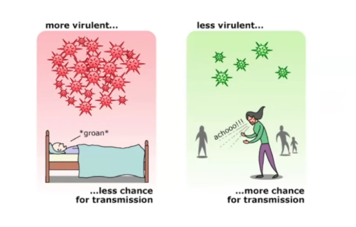 Virulence evolution in SARS-CoV2 – EvolutionMedicine