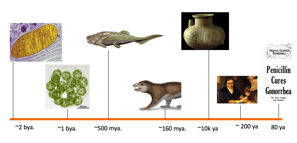 The evolution of cooperation in the microbiome – EvolutionMedicine